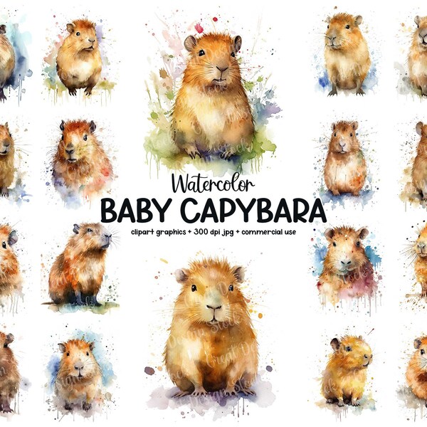 Cute Capybara Clipart - Etsy