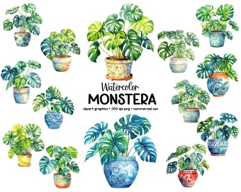 Monstera Png Digital Clip Art - Etsy