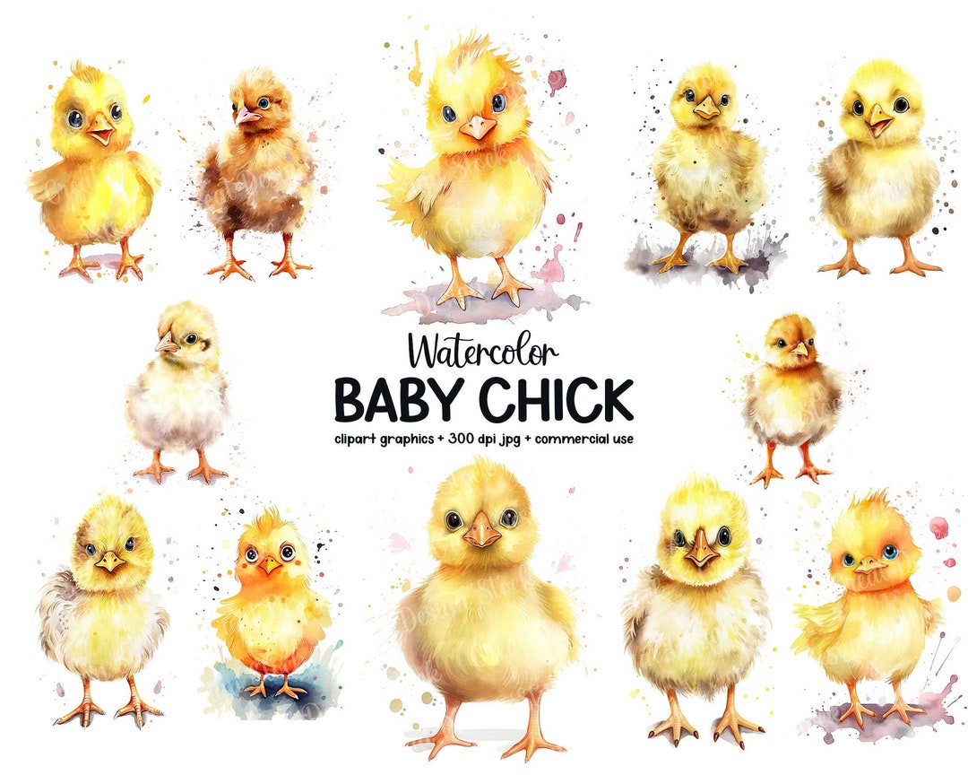 Cute Baby Chick Clipart Bundle, Watercolor Animal Illustration ...