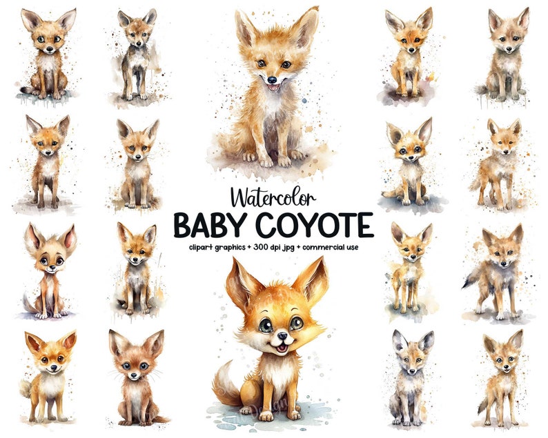 Cute Baby Coyote Clipart Bundle Watercolor Animal - Etsy