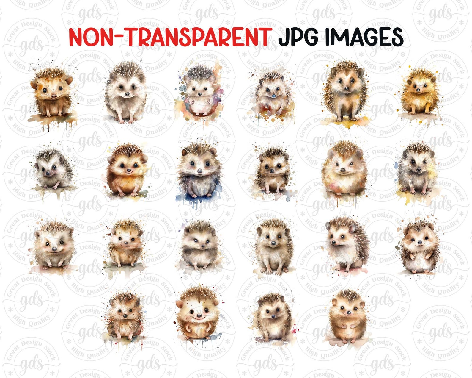 Cute Baby Hedgehog Clipart Bundle Watercolor Animal - Etsy