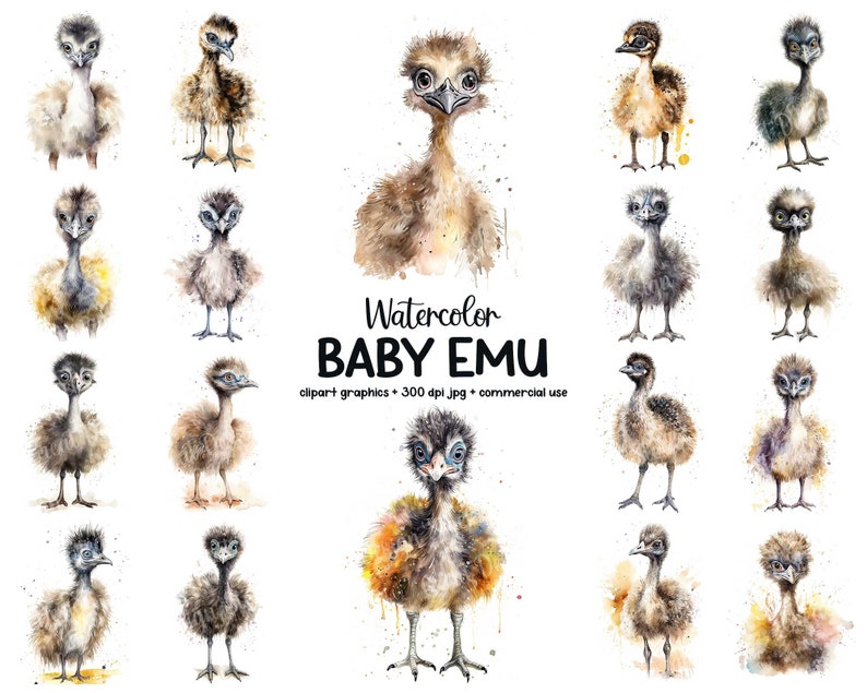 Cute Baby Emu Clipart Bundle Watercolor Animal Illustration - Etsy
