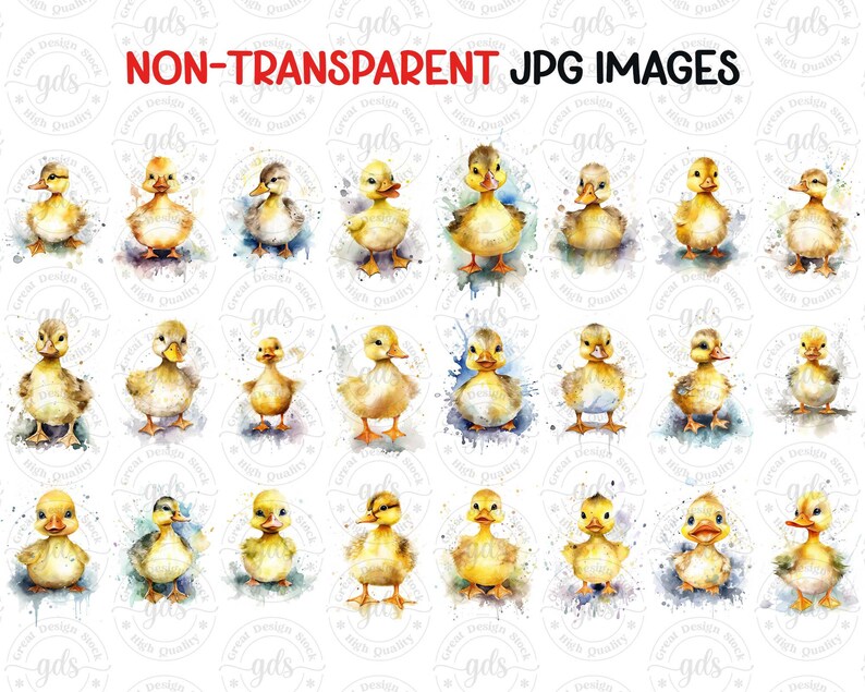Cute Baby Duck Clipart Bundle Watercolor Animal Illustration - Etsy