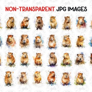 Cute Baby Capybara Clipart Bundle, Watercolor Animal Illustration ...