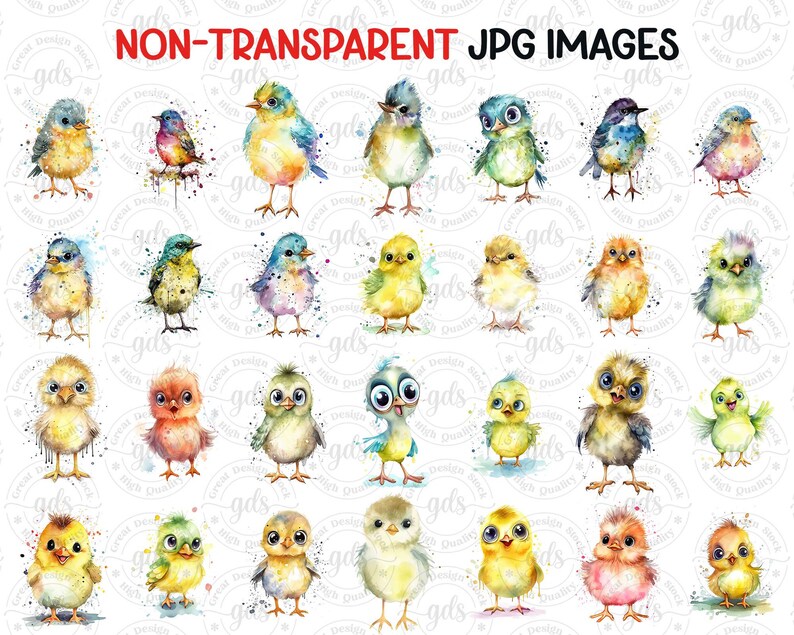 Cute Baby Bird Clipart Bundle Watercolor Animal Illustration - Etsy