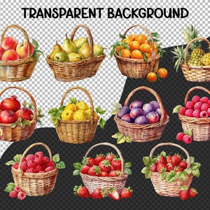 Fruit Clipart PNG, Watercolor Clip Art Bundle, Fruits in the Basket ...