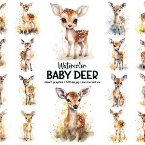 Cute Baby Deer Clipart Bundle, Watercolor Animal Illustration Printable ...