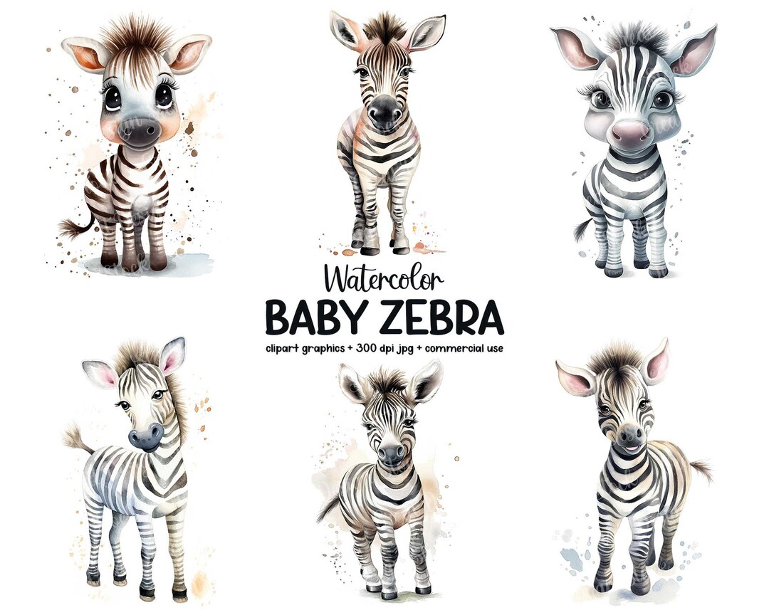 Cute Baby Zebra Clipart Bundle, Watercolor Animal Illustration ...