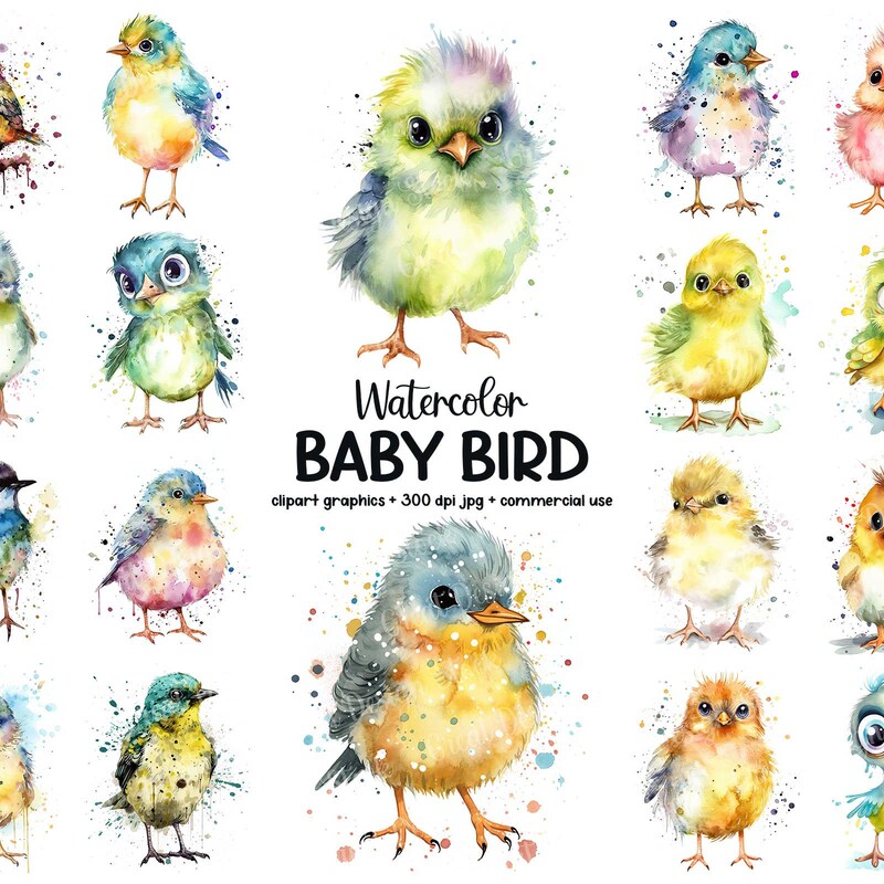 Baby Bird Art - Etsy