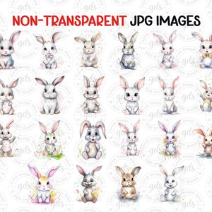 Cute Baby Rabbit Clipart Bundle Watercolor Animal - Etsy