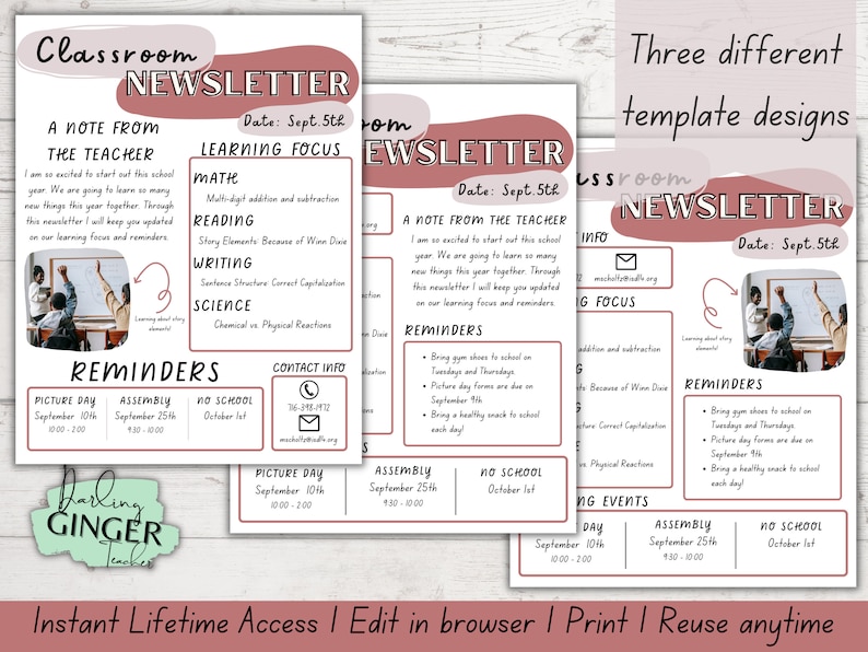 Editable Boho Teacher Newsletter Template | Back to School Flyer ...