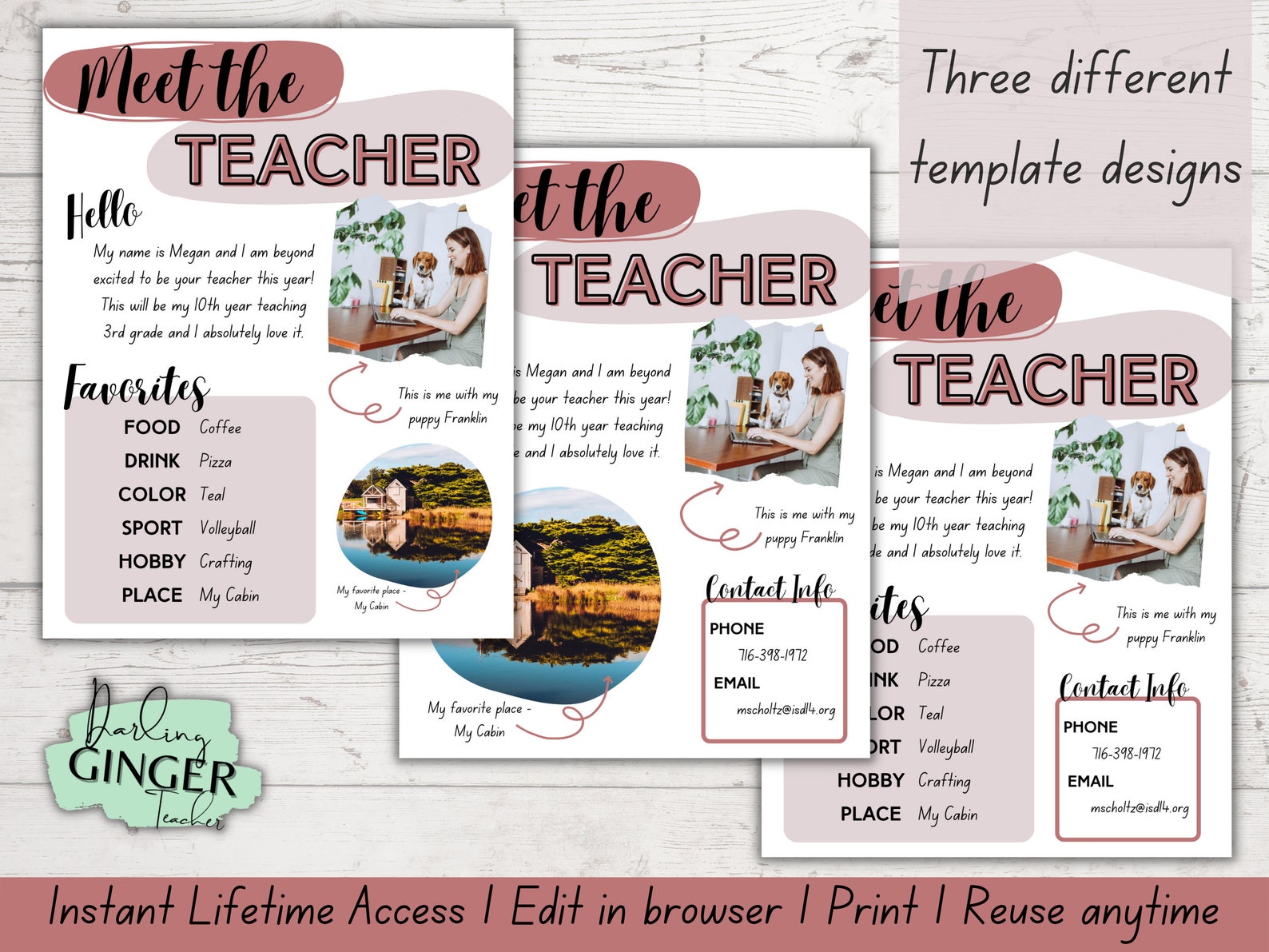 Boho Meet the Teacher Template | Editable Classroom Flyer (digital ...