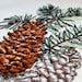 Fir Cone Cross Stitch Evergreen Pattern Pdf - Woodland Cross Stitch Fir ...