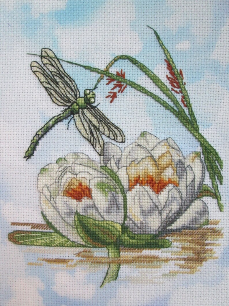 Water Lily Cross Stitch Round Pattern Pdf Dragonfly Cross - Etsy