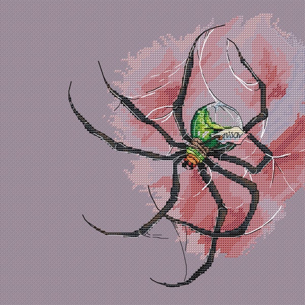 Spider Cross Stitch Pattern - Etsy
