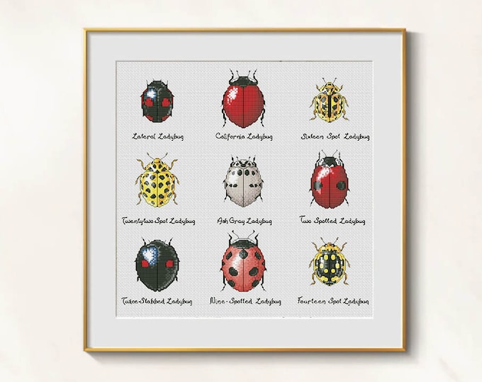 Ladybugs Cross Stitch Insects Pattern Pdf - Bug Cross Stitch Beetles ...