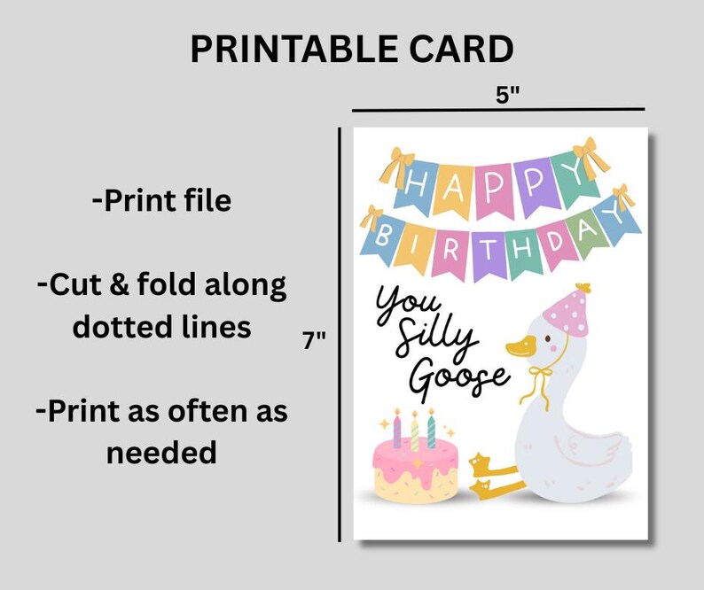 Printable Birthday Card-silly Goose - Etsy