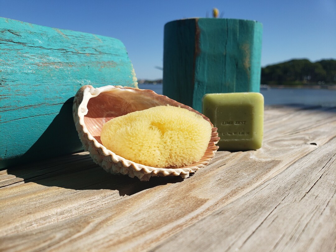 1-3 Sea Silk Sponge Facial Sponge Natural Sea Silk Sponge Natural Sea ...