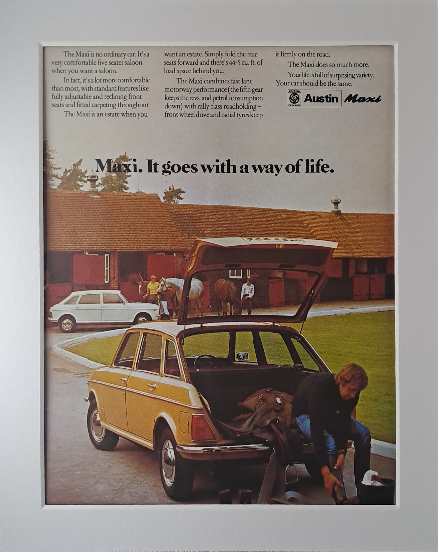 1974 Austin / British Leyland Maxi Car Original Full Page Vintage ...