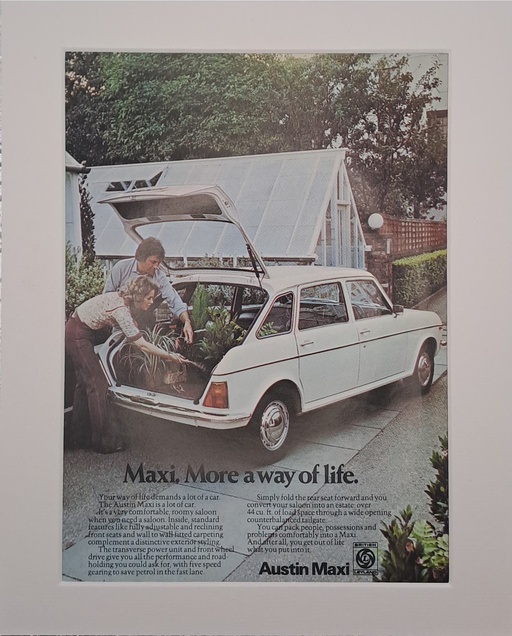 1974 Austin Maxi Car Original Full Page Vintage Magazine Advertisement ...