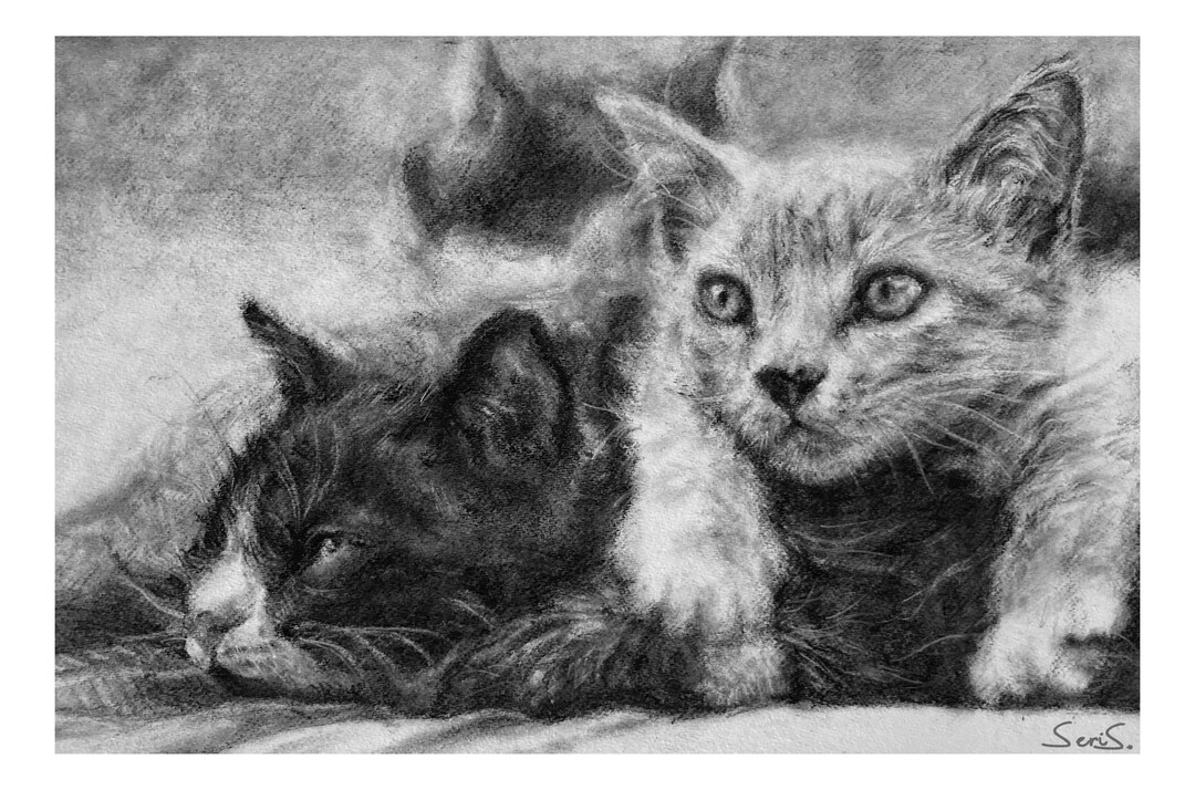 Cute Cat Stack Artwork/ Cat Charcoal Drawing/ Hand Drawn Original ...