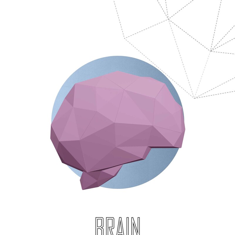 Brain Sculpture - Etsy