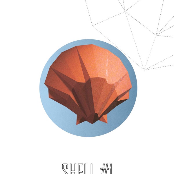 Shell Wall Decor - Etsy