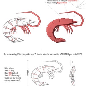 Papercraft 3d SHRIMP Pepakura PRAWNS Sea Food Creatures Animal ...