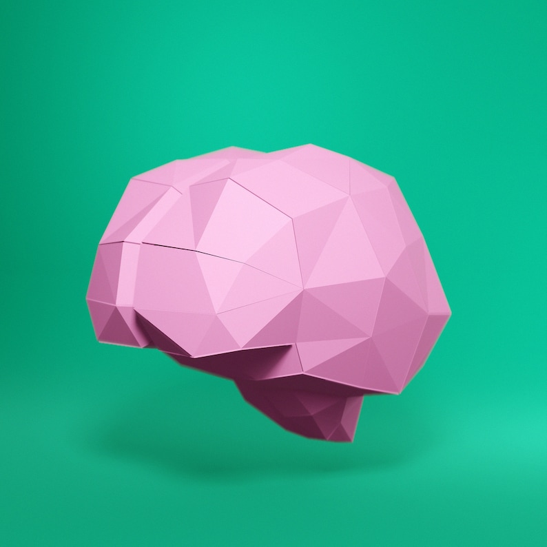 Papercraft 3D REAL ANATOMICAL BRAIN Pepakura Pdf Template Low - Etsy