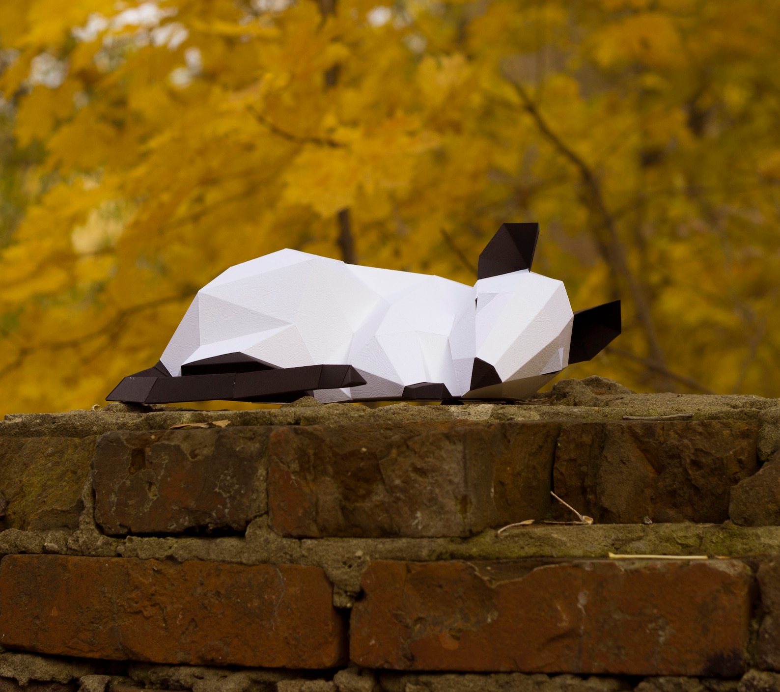 Papercraft 3d RAT MOUSE 3 Low Poly Paper Sculpture Diy Gift - Etsy