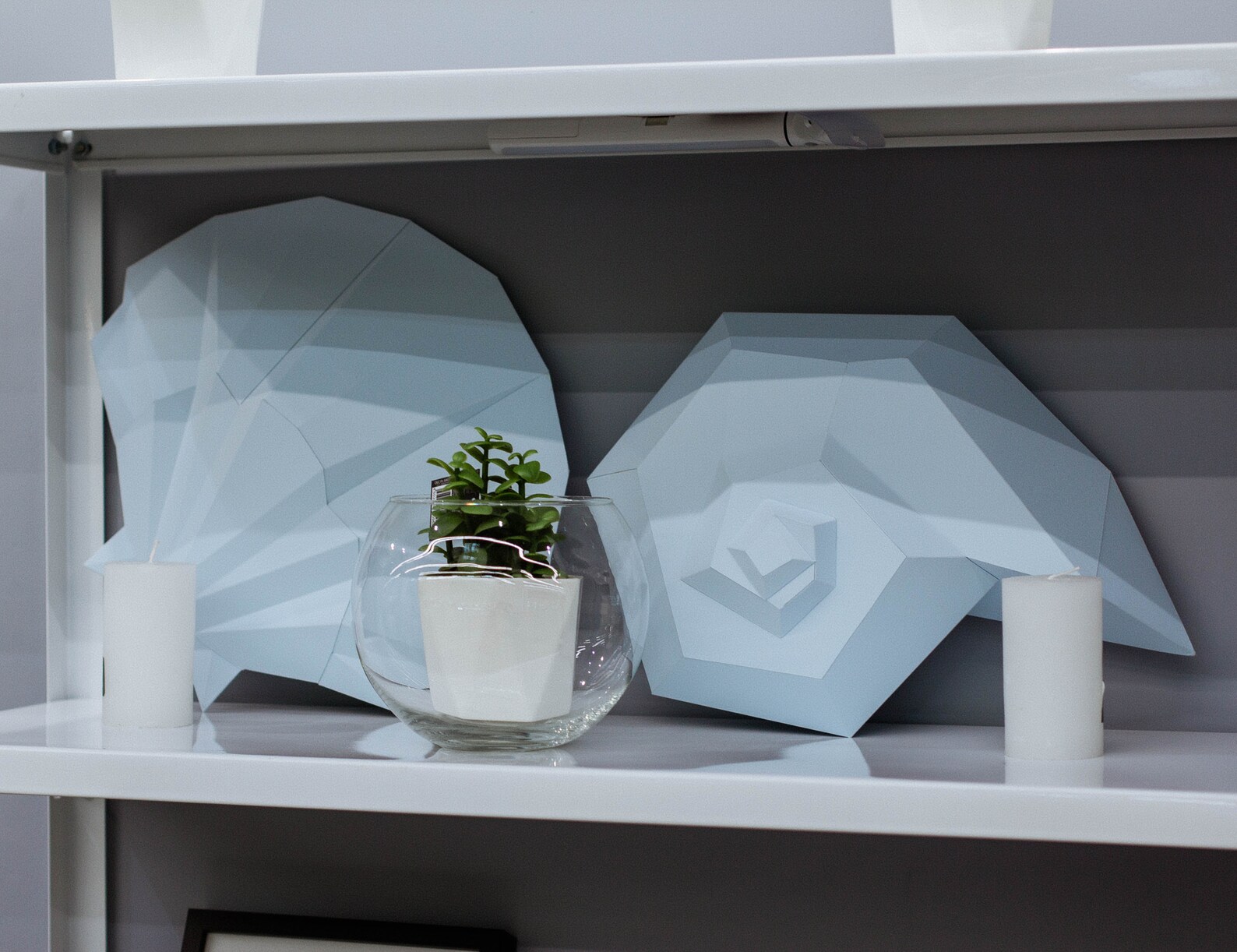 Papercraft 3d SET OF SHELLS Pepakura Sea Creatures Paperfreak | Etsy