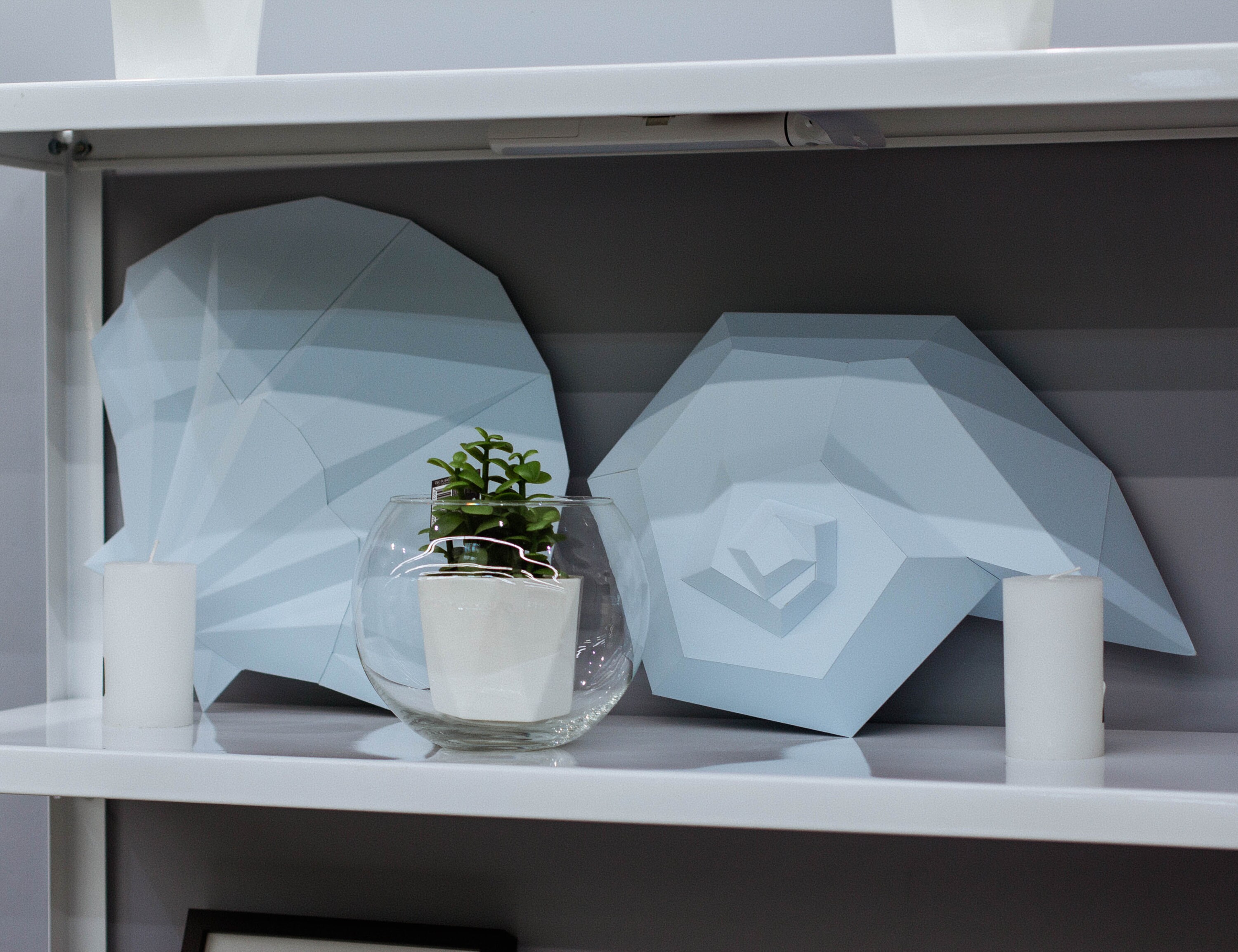 Papercraft 3d SET OF SHELLS Pepakura Sea Creatures Paperfreak - Etsy ...