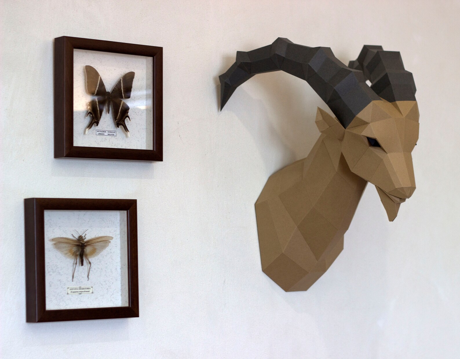 Papercraft 3D CAPRICORN RAM GOAT Pepakura Creatures Paperfreak - Etsy