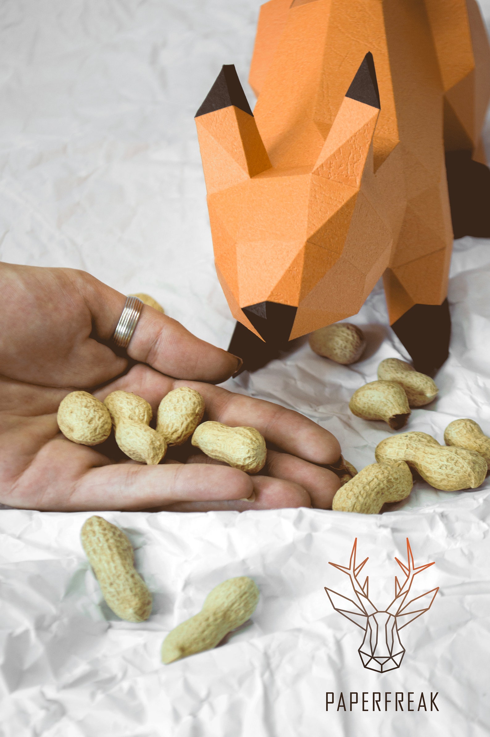 Papercraft 3d SQUIRREL 3D Type 1 Low Poly Paper Sculpture Diy - Etsy