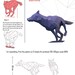 Papercraft 3D RUNNING WOLF FIGURE Pepakura Low Poly Paper Sculpture Diy ...