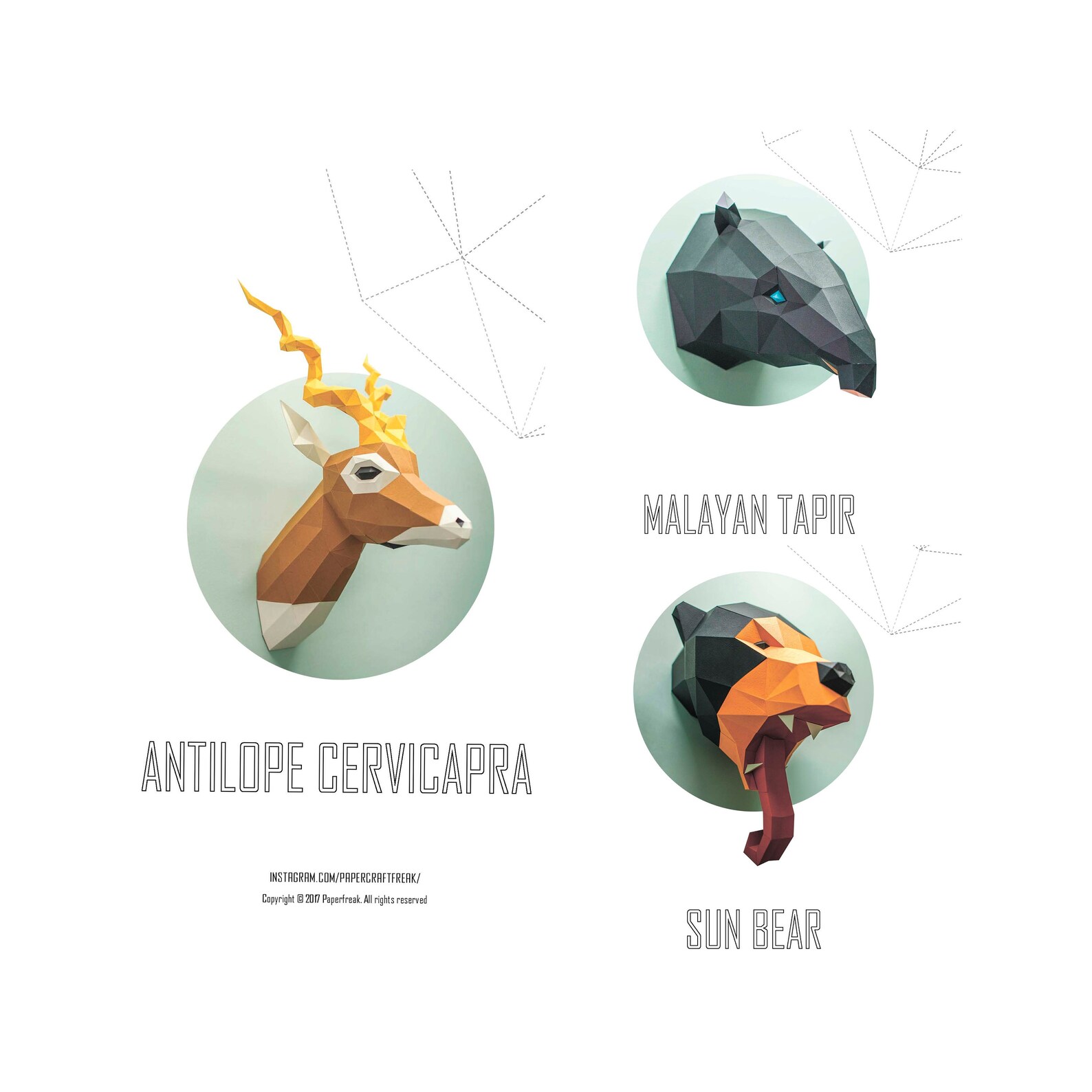 Papercraft 3D RARE ANIMAL PACK Malayan Tapir Sun Bear Antelope - Etsy