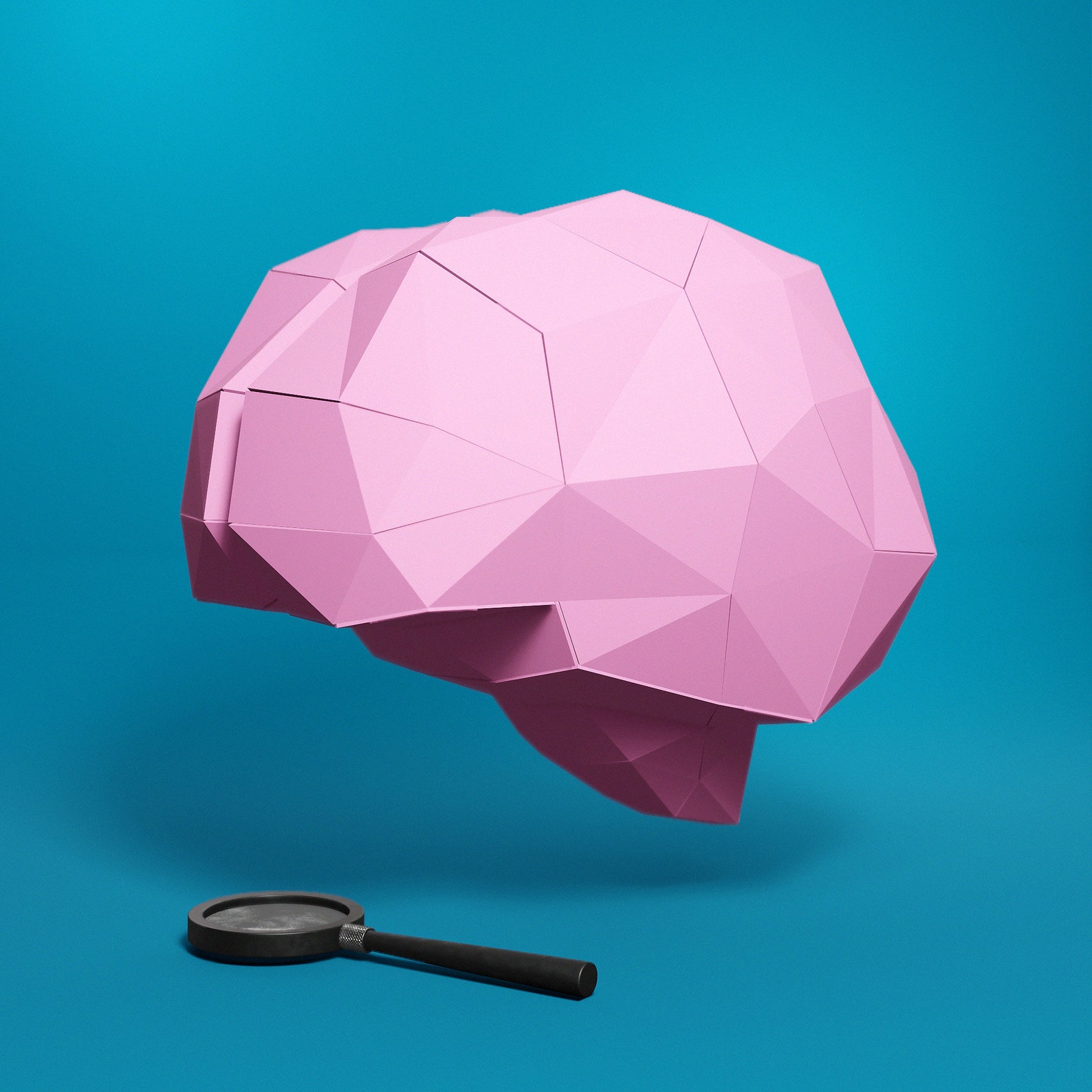 Papercraft 3D REAL ANATOMICAL BRAIN Pepakura Pdf Template Low - Etsy