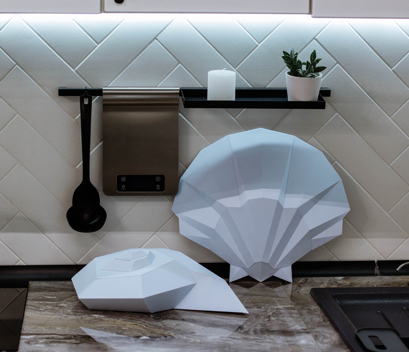 Papercraft 3d SET OF SHELLS Pepakura Sea Creatures Paperfreak | Etsy