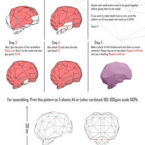 Papercraft 3D REAL ANATOMICAL BRAIN Pepakura Pdf Template Low Polygonal ...