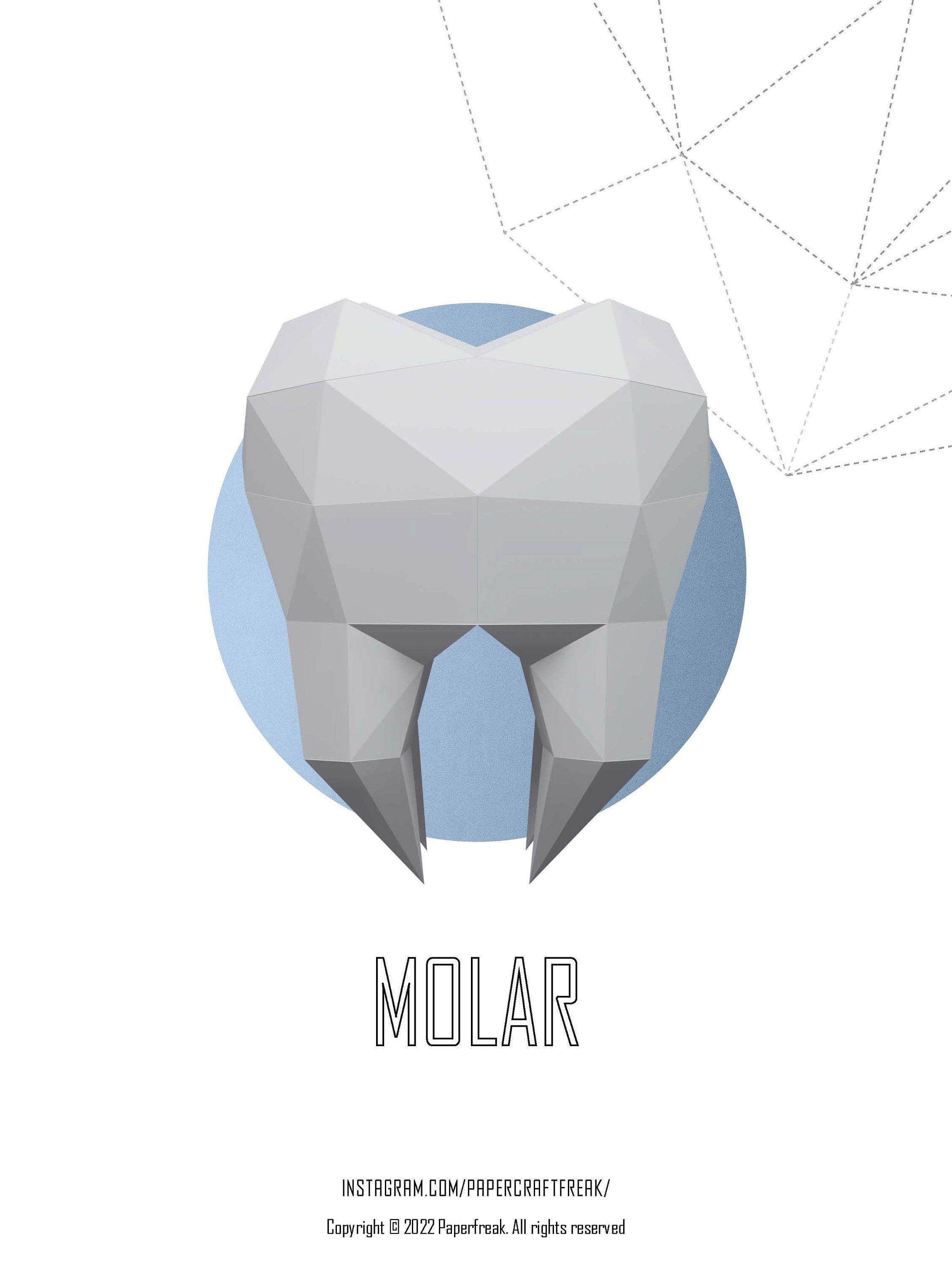 Papercraft 3D TOOTH MOLAR Dental Veneers Low Poly Paper - Etsy Australia