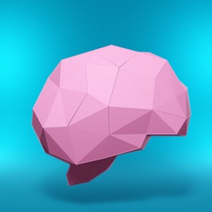 Papercraft 3D REAL ANATOMICAL BRAIN Pepakura Pdf Template Low Polygonal ...