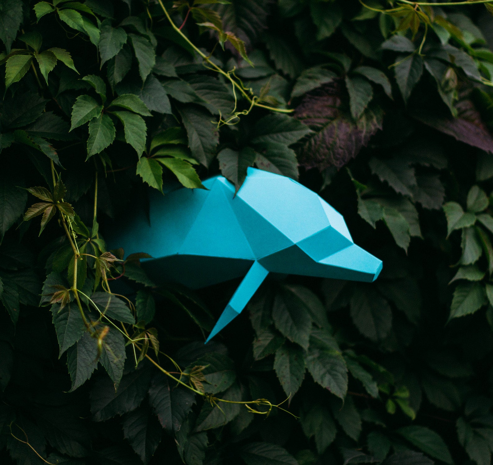 Papercraft 3d DOLPHIN SEA FISH Cartoon Anime Animal Paper - Etsy
