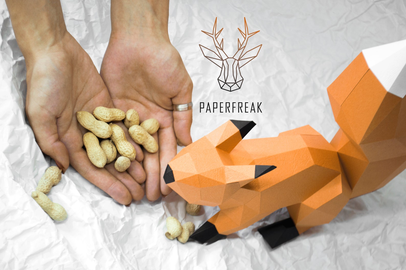 Papercraft 3d SQUIRREL 3D Type 1 Low Poly Paper Sculpture Diy - Etsy