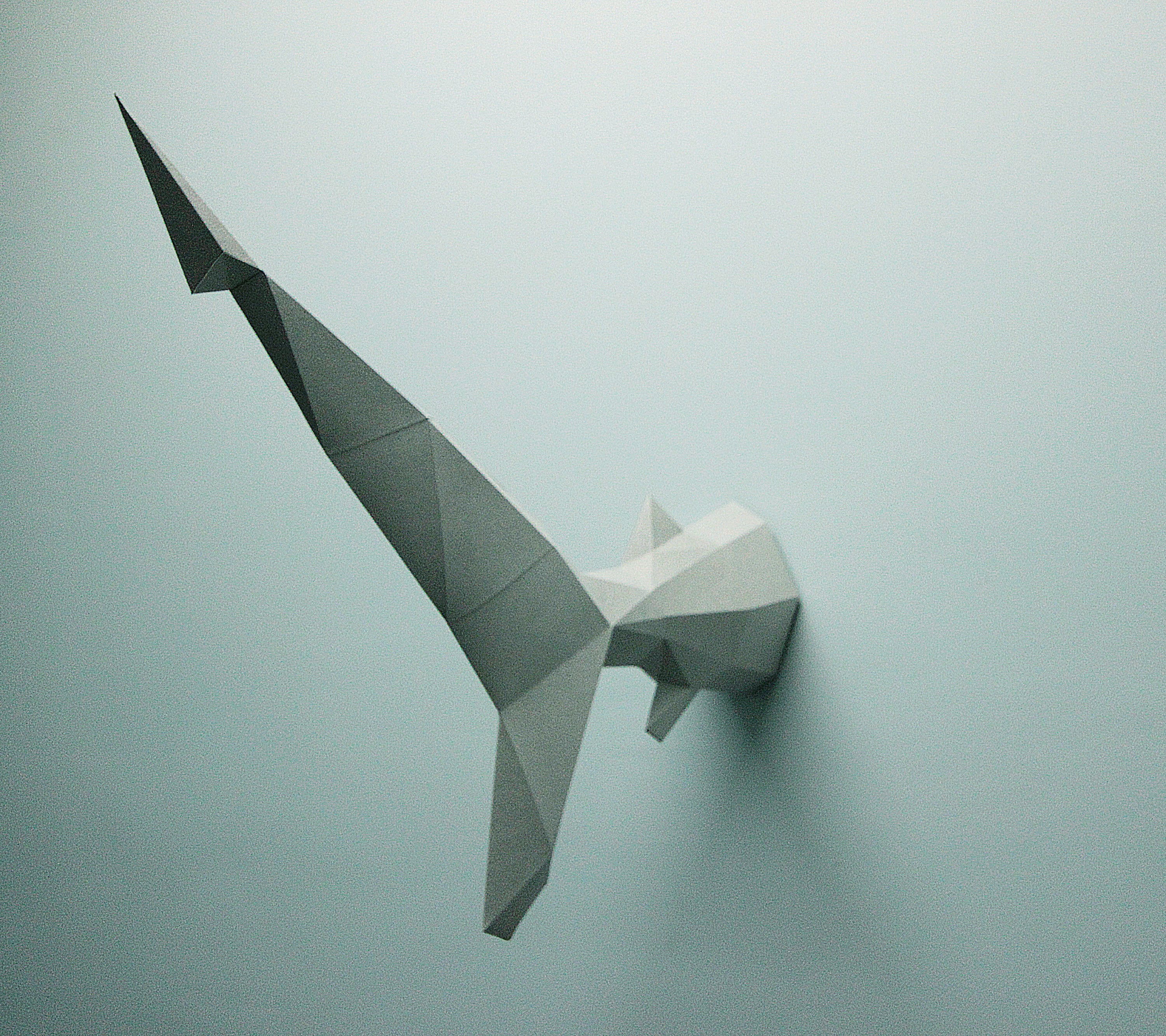 Papercraft 3d Sea FISH TAIL PACK 3 in 1 Cartoon Animal Paper - Etsy