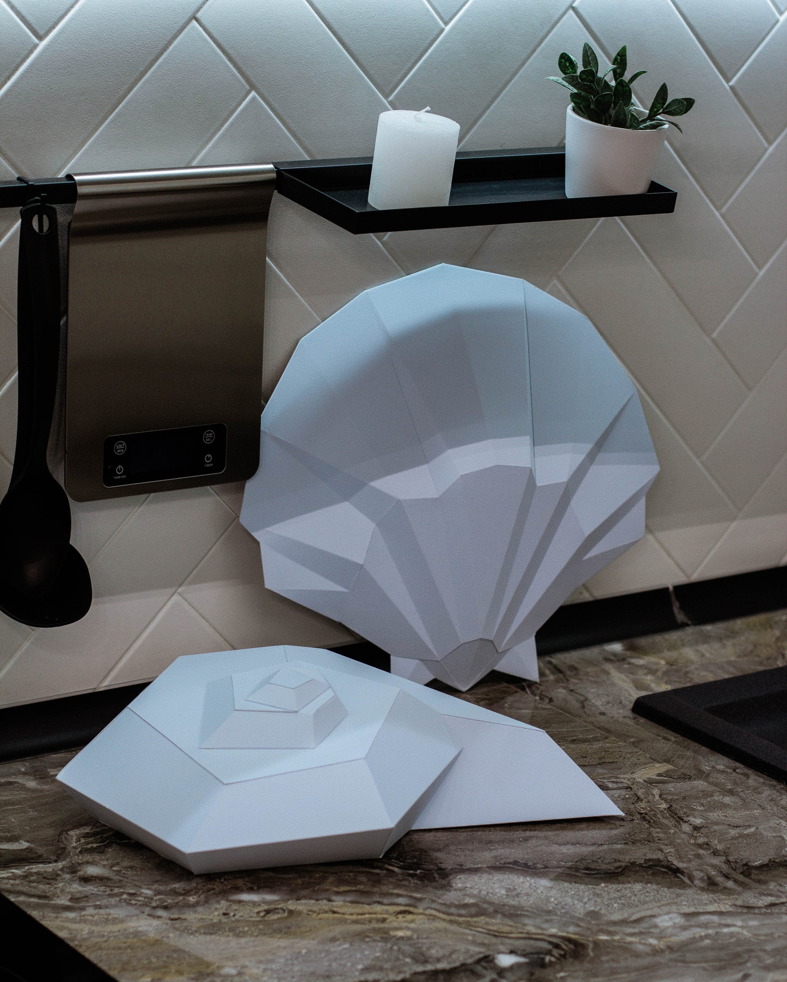 Papercraft 3d SET OF SHELLS Pepakura Sea Creatures Paperfreak | Etsy