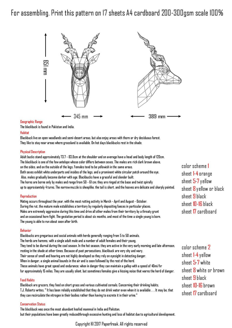 Papercraft 3D RARE ANIMAL PACK Malayan Tapir Sun Bear Antelope - Etsy