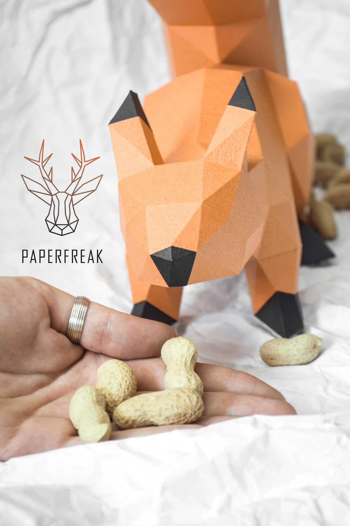 Papercraft 3d SQUIRREL 3D Type 1 Low Poly Paper Sculpture Diy - Etsy