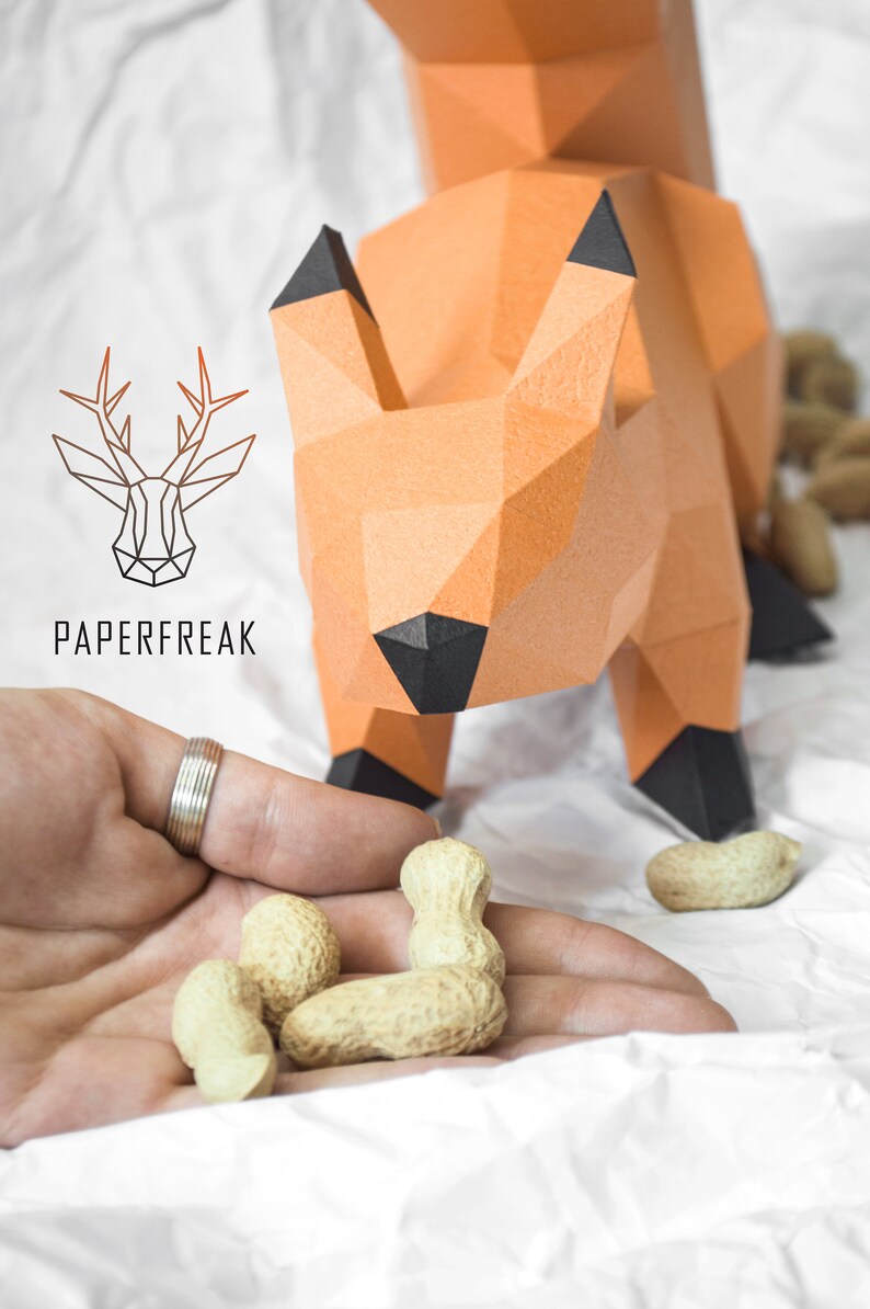 Papercraft 3d SQUIRREL 3D Type 1 Low Poly Paper Sculpture Diy - Etsy