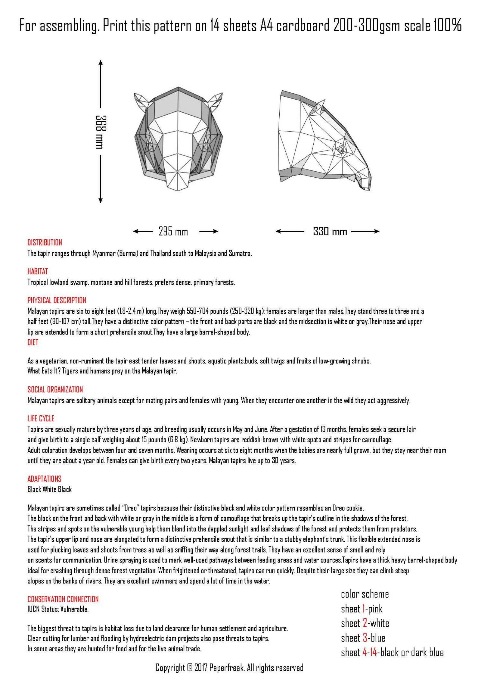 Papercraft 3D MALAYAN TAPIR Head Pepakura Pdf Template - Etsy