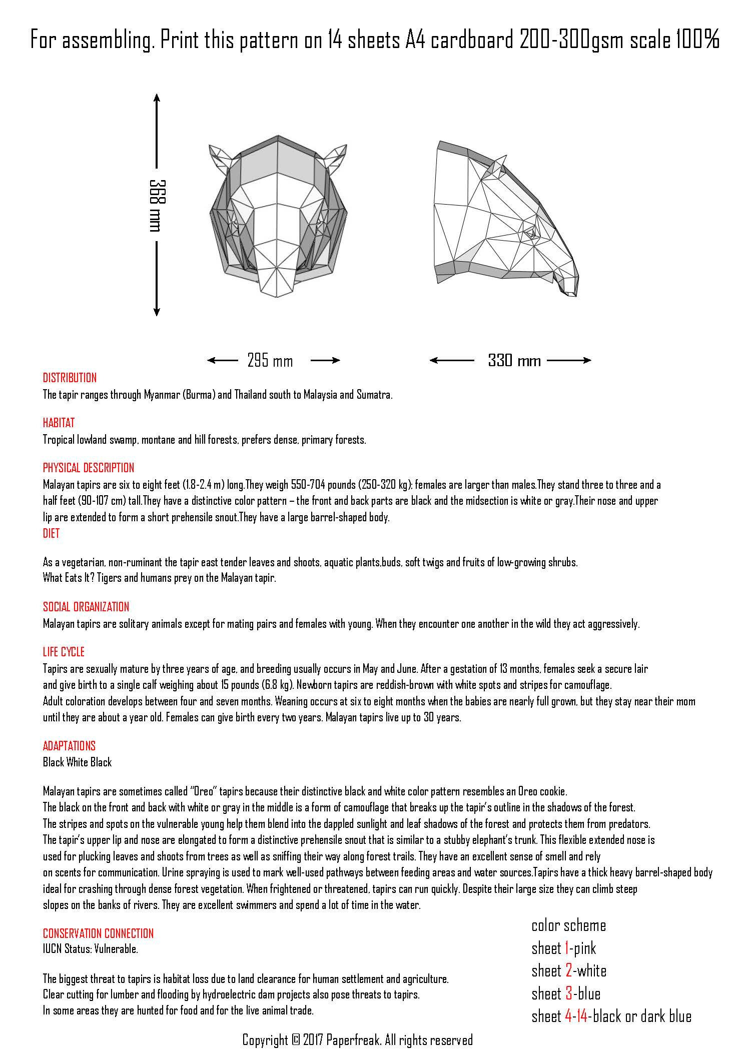Papercraft 3D MALAYAN TAPIR Head Pepakura Pdf Template - Etsy